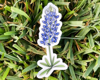 Texas Bluebonnet Decal - Etsy