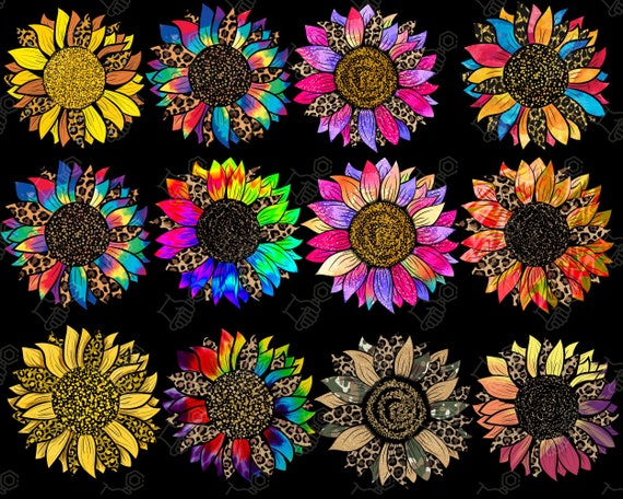 Sunflower Png Colorful Sunflower Sublimation Designs Bright - Etsy