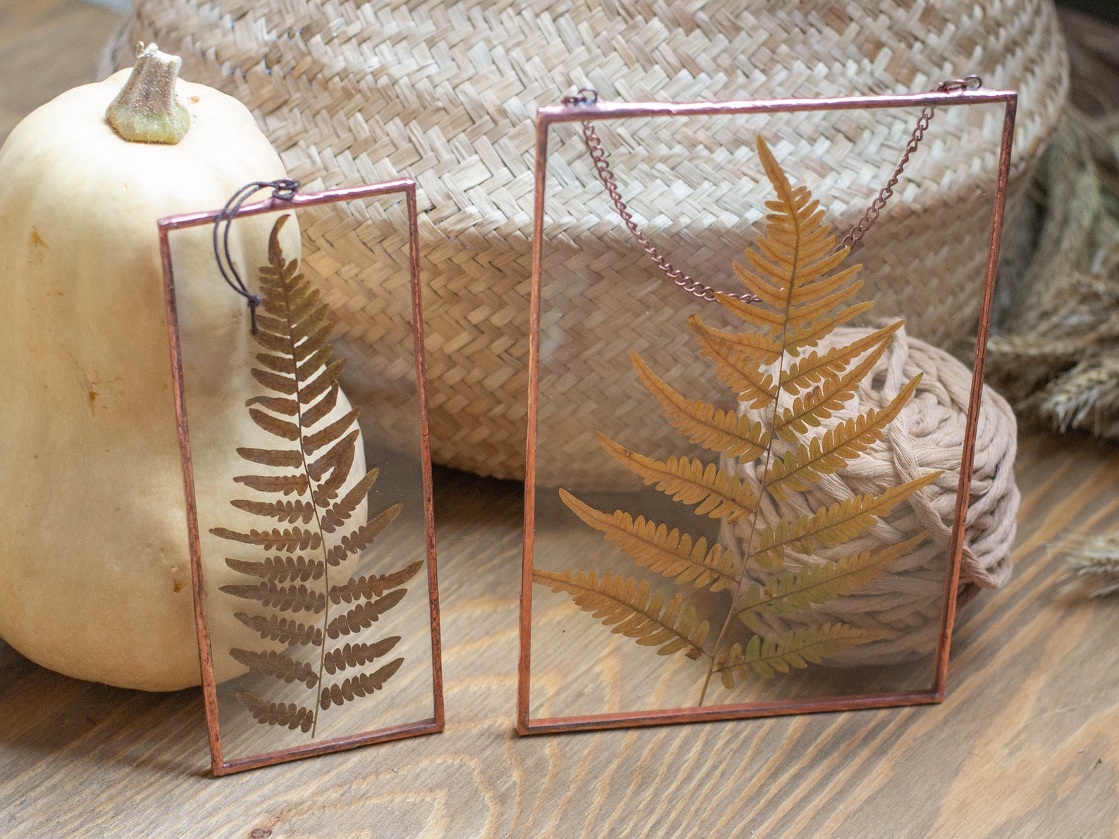 Set of two frames with dried ferns framed pressed fern | Etsy