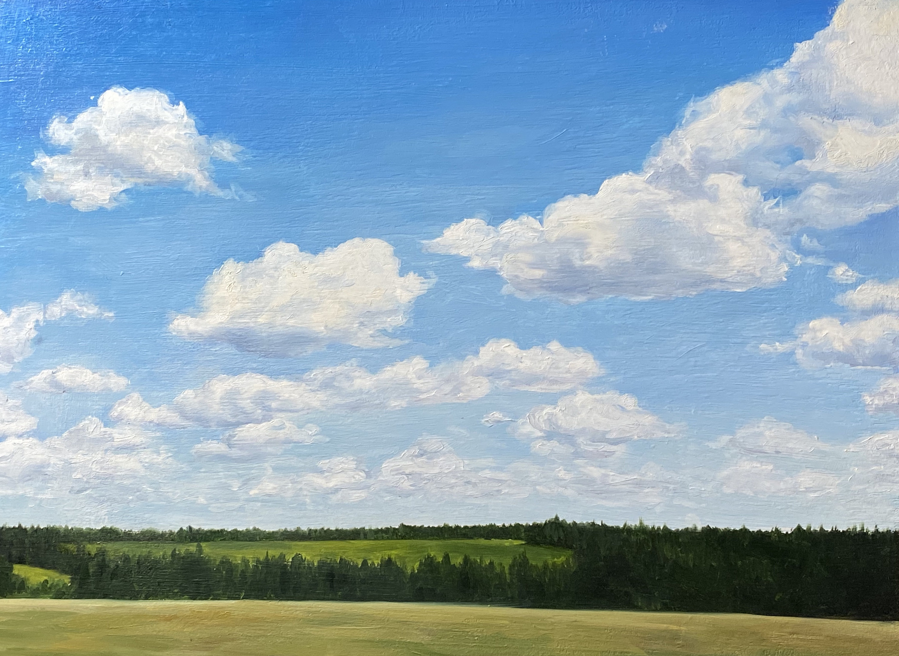 Sky with Clouds Landscape Original Oil Painting Art Field | Etsy