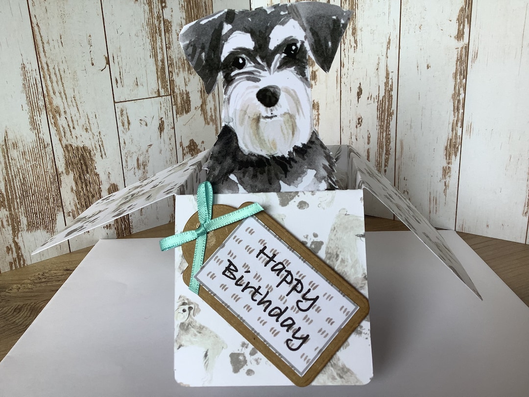 Schnauzer Pop up Box, 3D Birthday Card, PERSONALISED All Occasions Card ...
