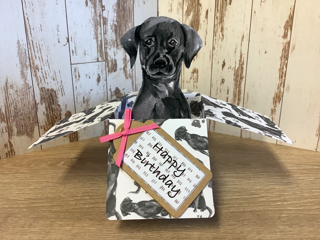 Black Labrador Pop up Box 3D Birthday Card PERSONALISED All - Etsy