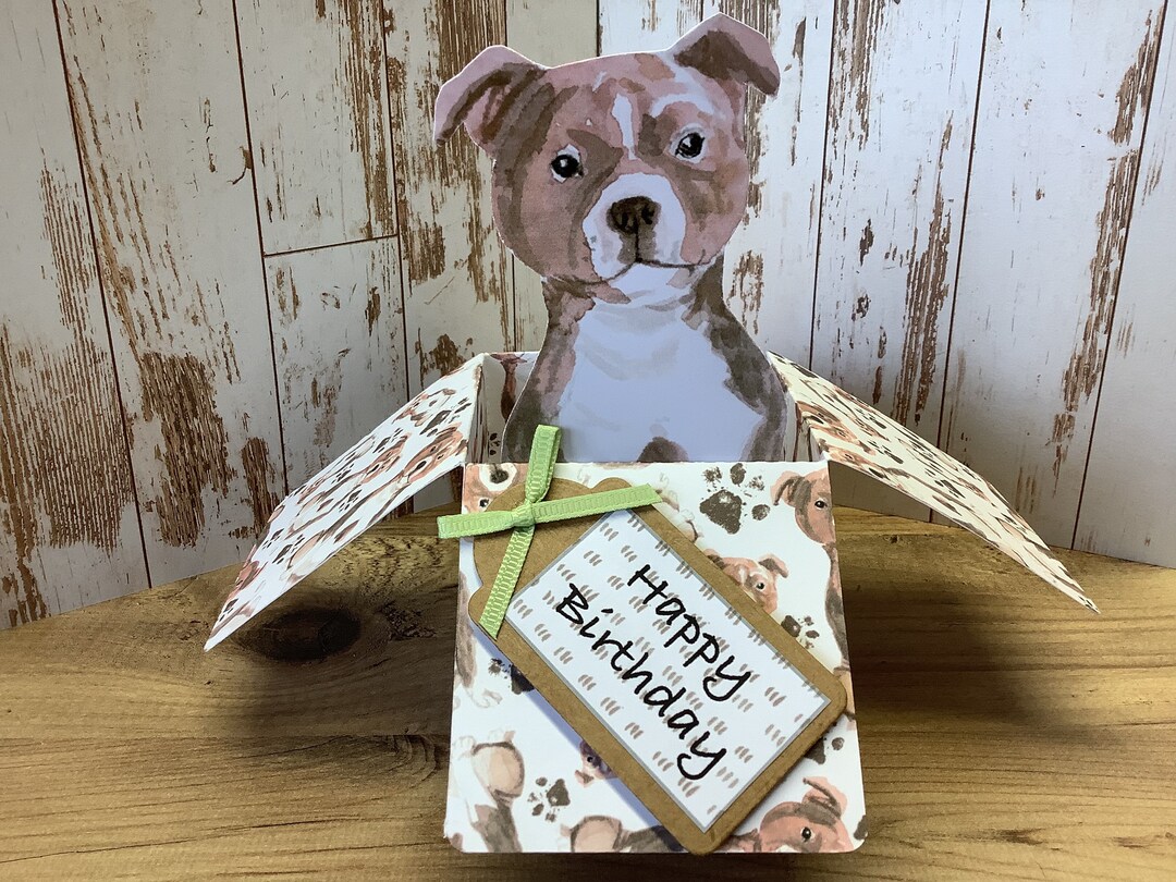 Staffordshire Bull Terrier Staffy pop up box, 3D birthday card ...