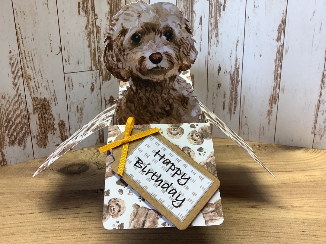 Cockapoo Pop up Box, 3D Birthday Card, PERSONALISED All Occasions, With ...