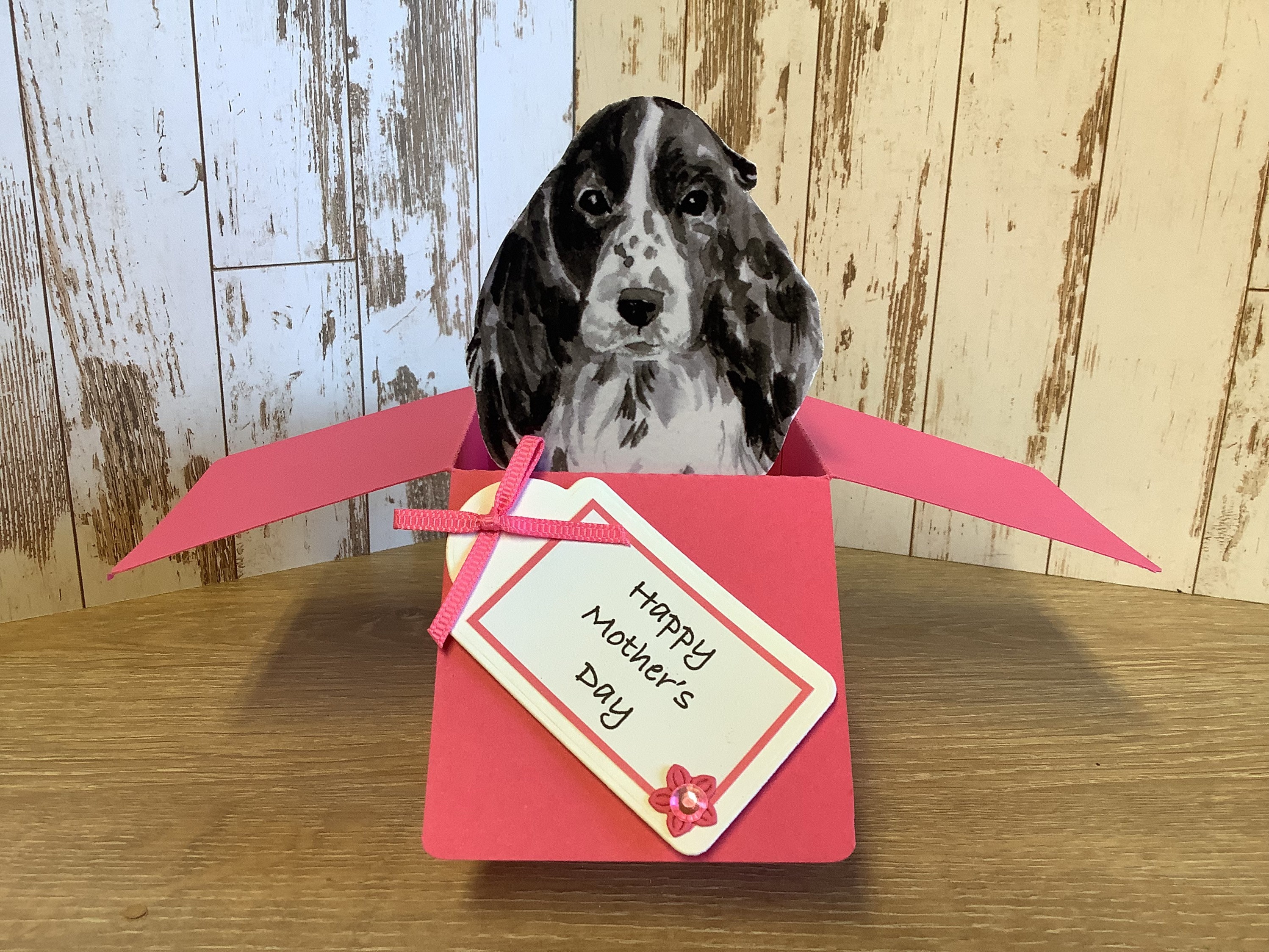 BLACK Spaniel dog pop up box 3D birthday card PERSONALISED - Etsy France