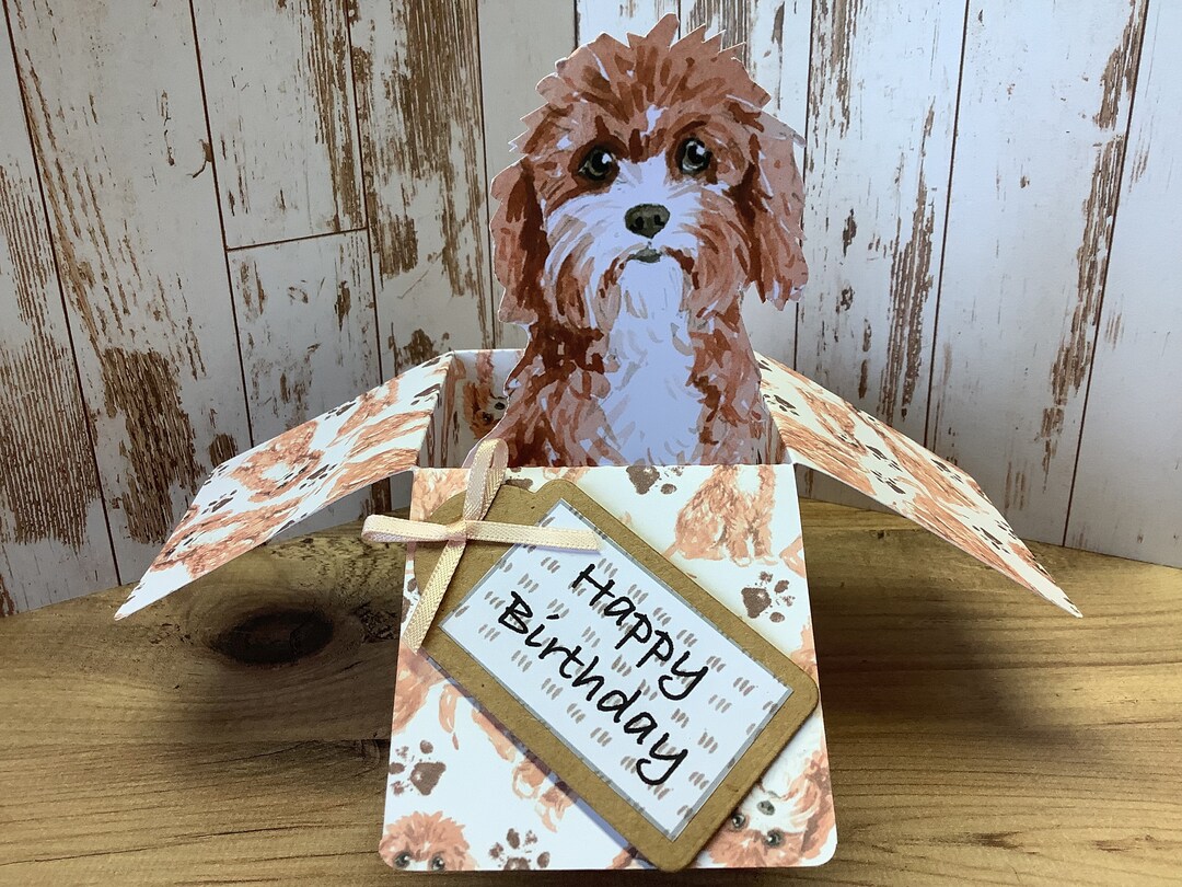 Handmade Cavapoo Pop up Box Card: PERSONALISED Birthday All Occasions ...
