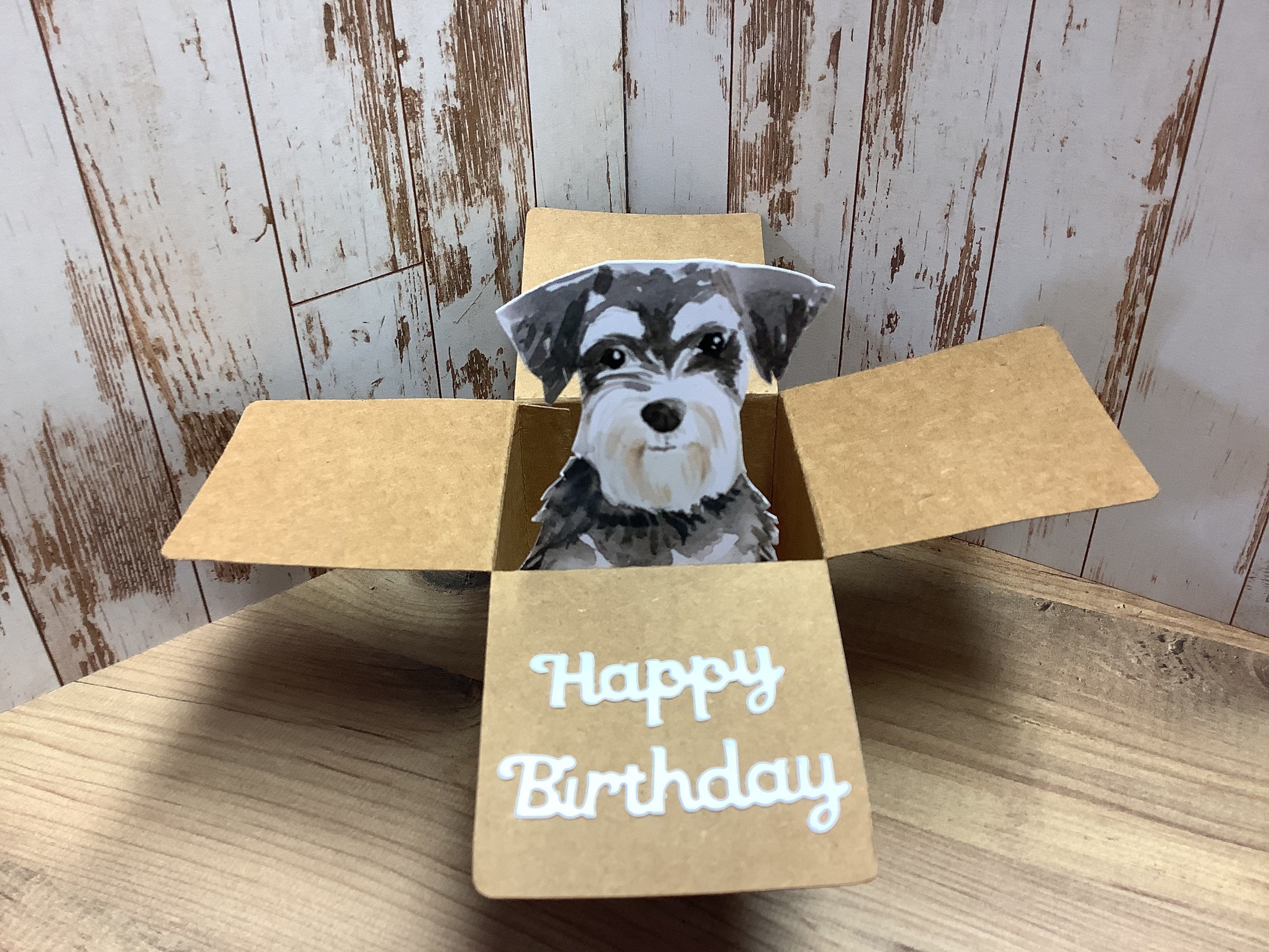 Schnauzer Pop up Box 3D Birthday Card PERSONALISED All - Etsy UK