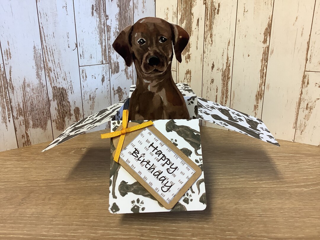 Chocolate Labrador Pop up Box Card: PERSONALISED 3D Birthday All ...