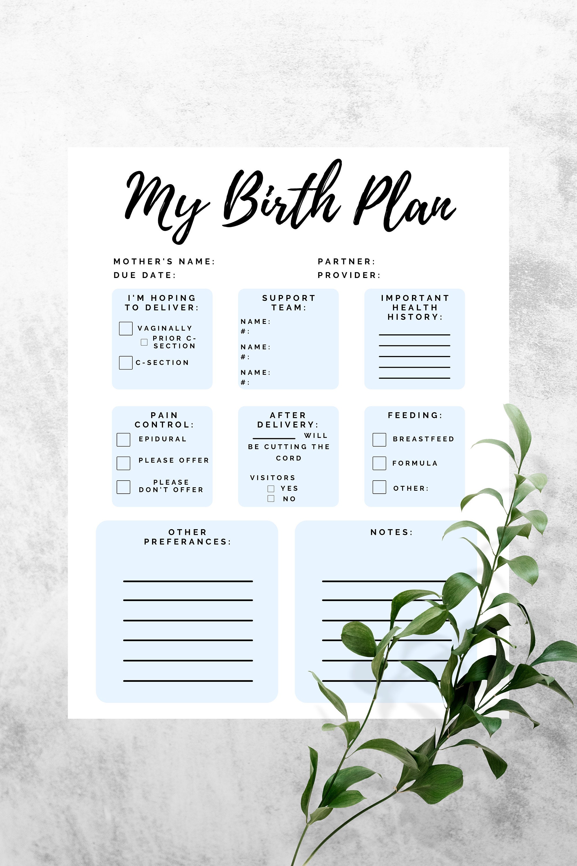 Birth Plan Printable - Etsy