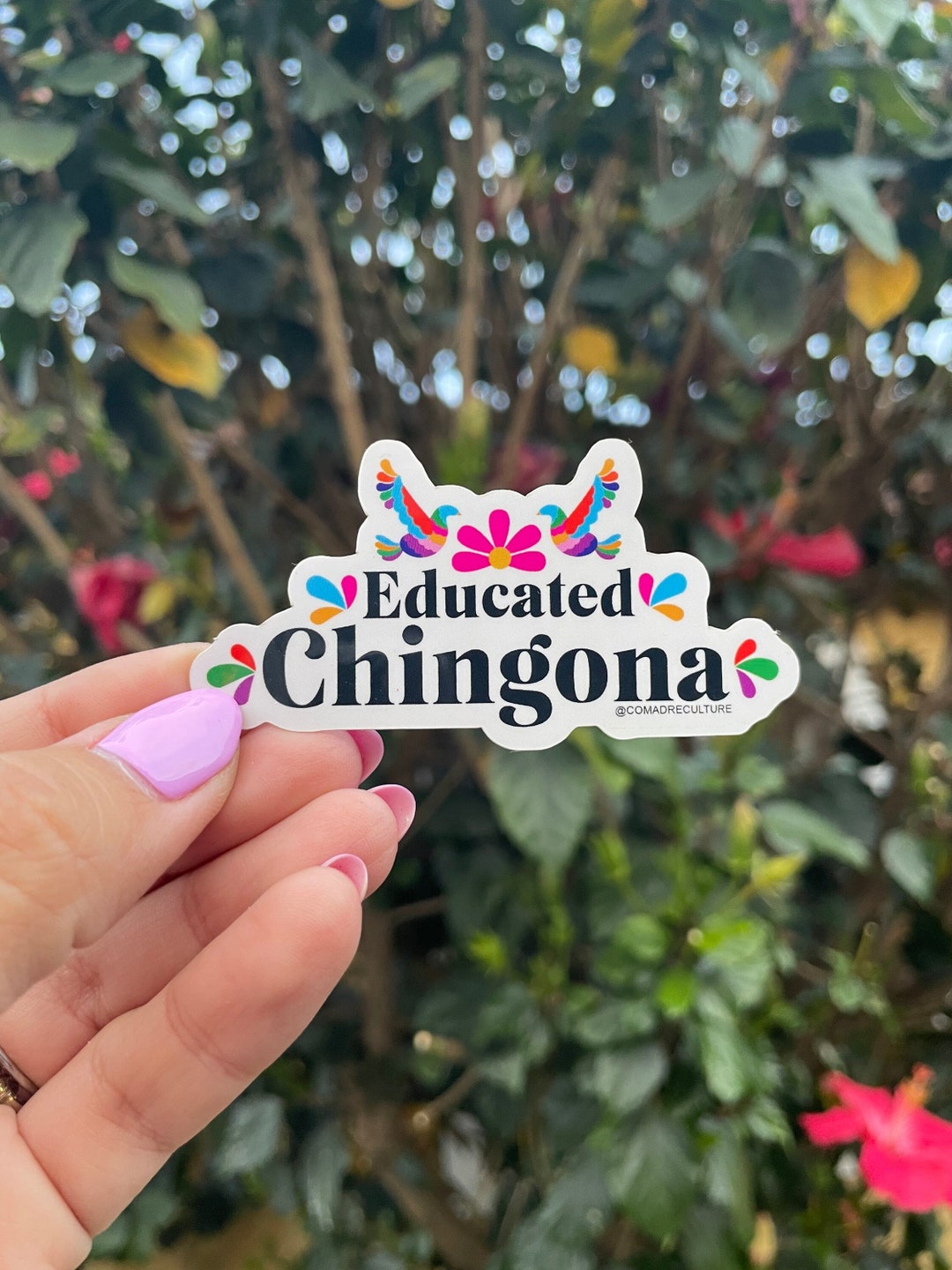 Educated Chingona Sticker, Calcomania, Waterproof Vinyl Sticker (new ...