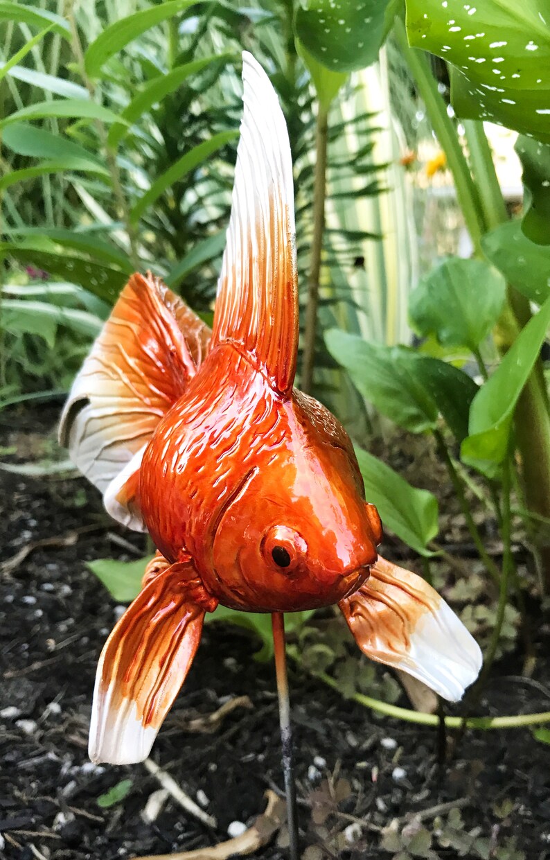Custom Goldfish Varied Colors and Styles - Etsy