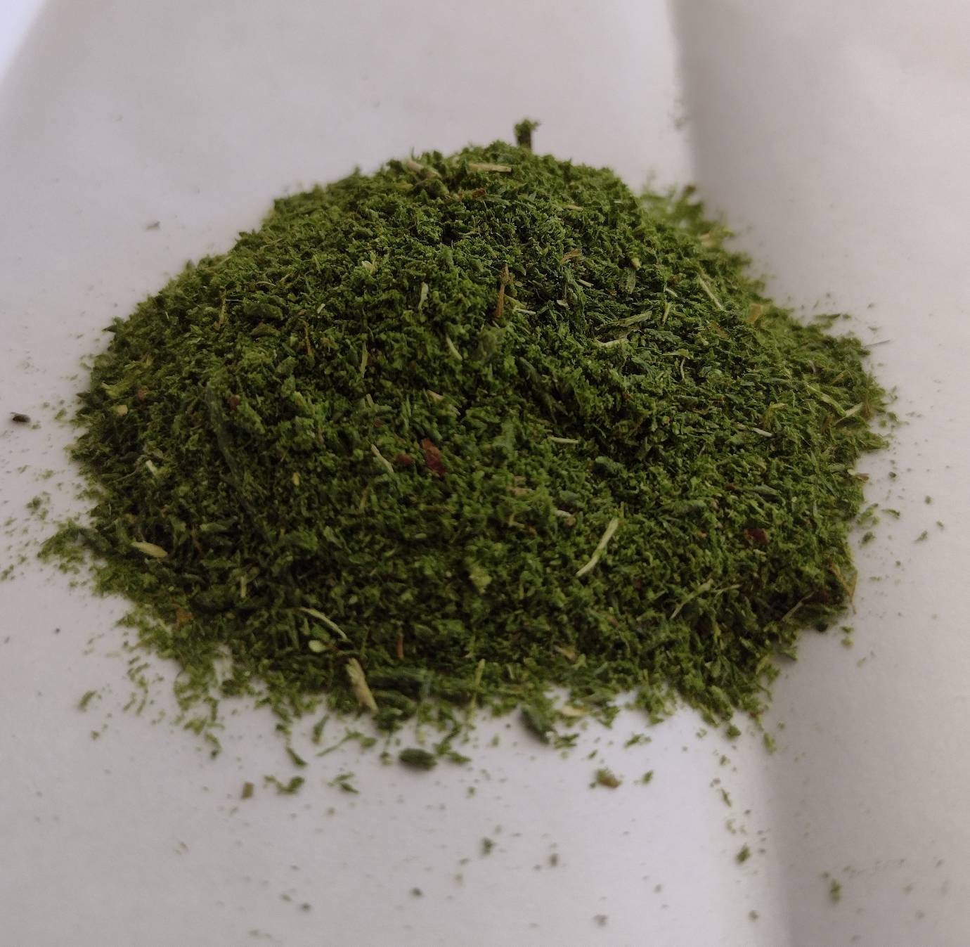 Cypress Powder Organic Wild Crafted Arizona Cypress Powder - Etsy Ireland