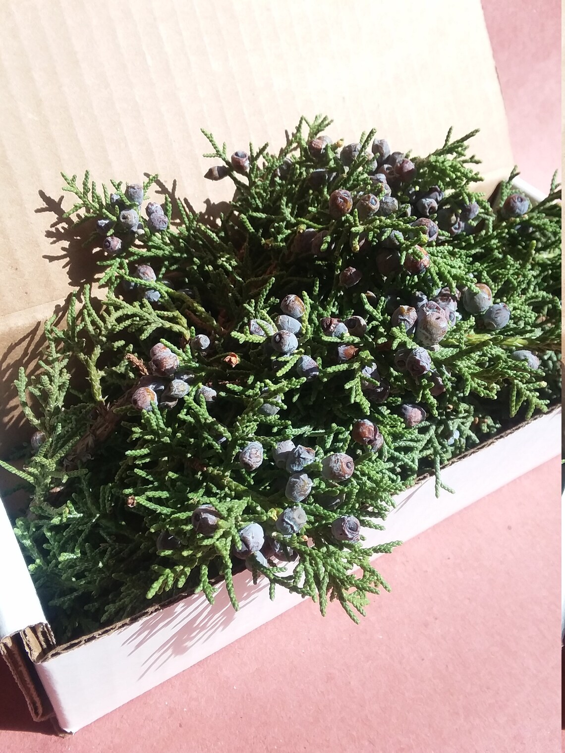Fresh Juniper Branches & Berries | Wedding Decor | Holiday |sacred Wood ...