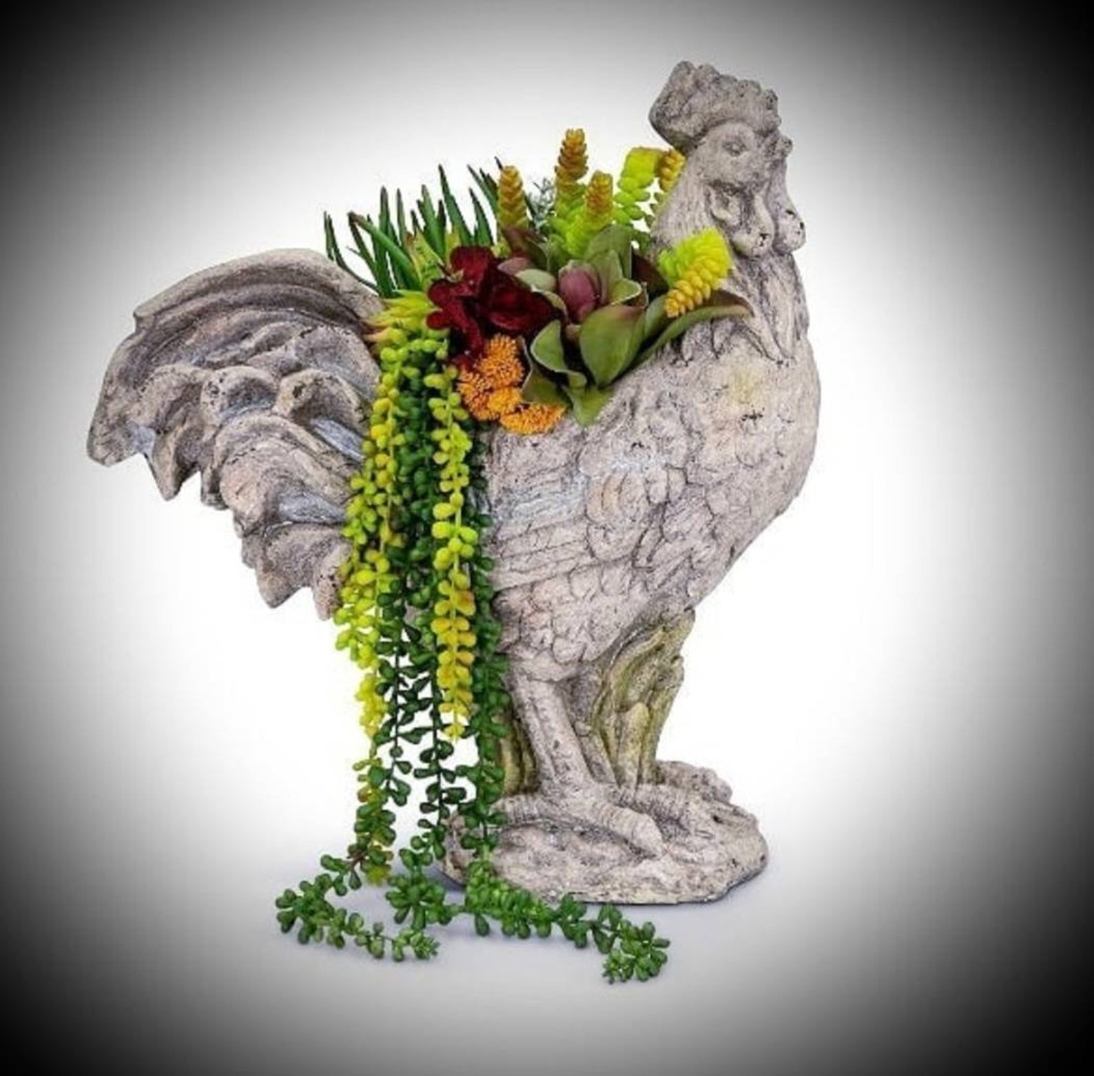 Succulent Rooster Centerpiece, Floral Arrangement - Etsy