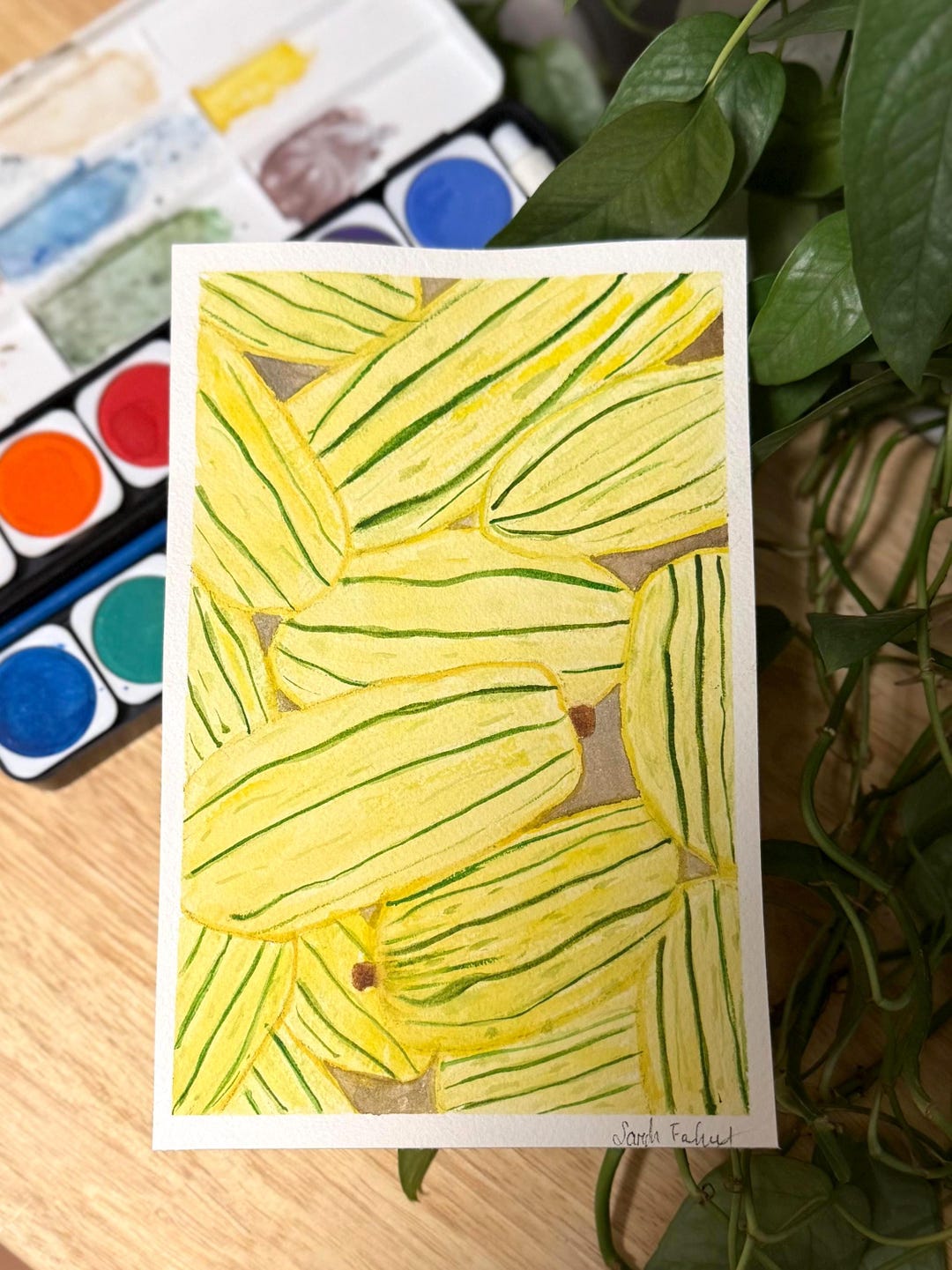 Delicata Squash - Original Watercolor Art Print - Etsy