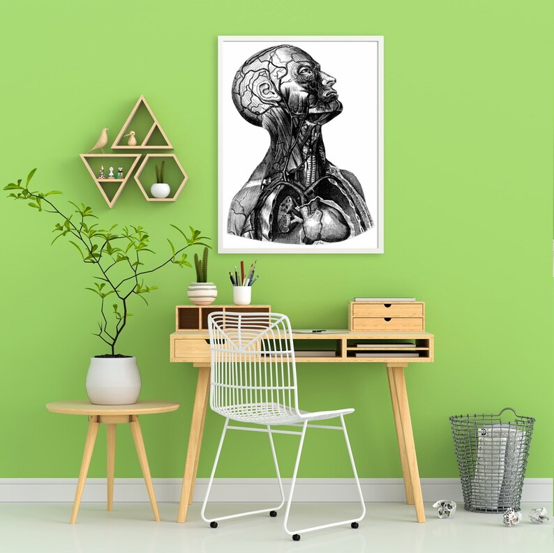 Human Body Anatomy Print Human Body Flower Art Doctor Office - Etsy