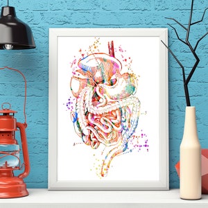 Body Art Prints Skeleton Art, Intestine Art Print, Medical Art Work ...