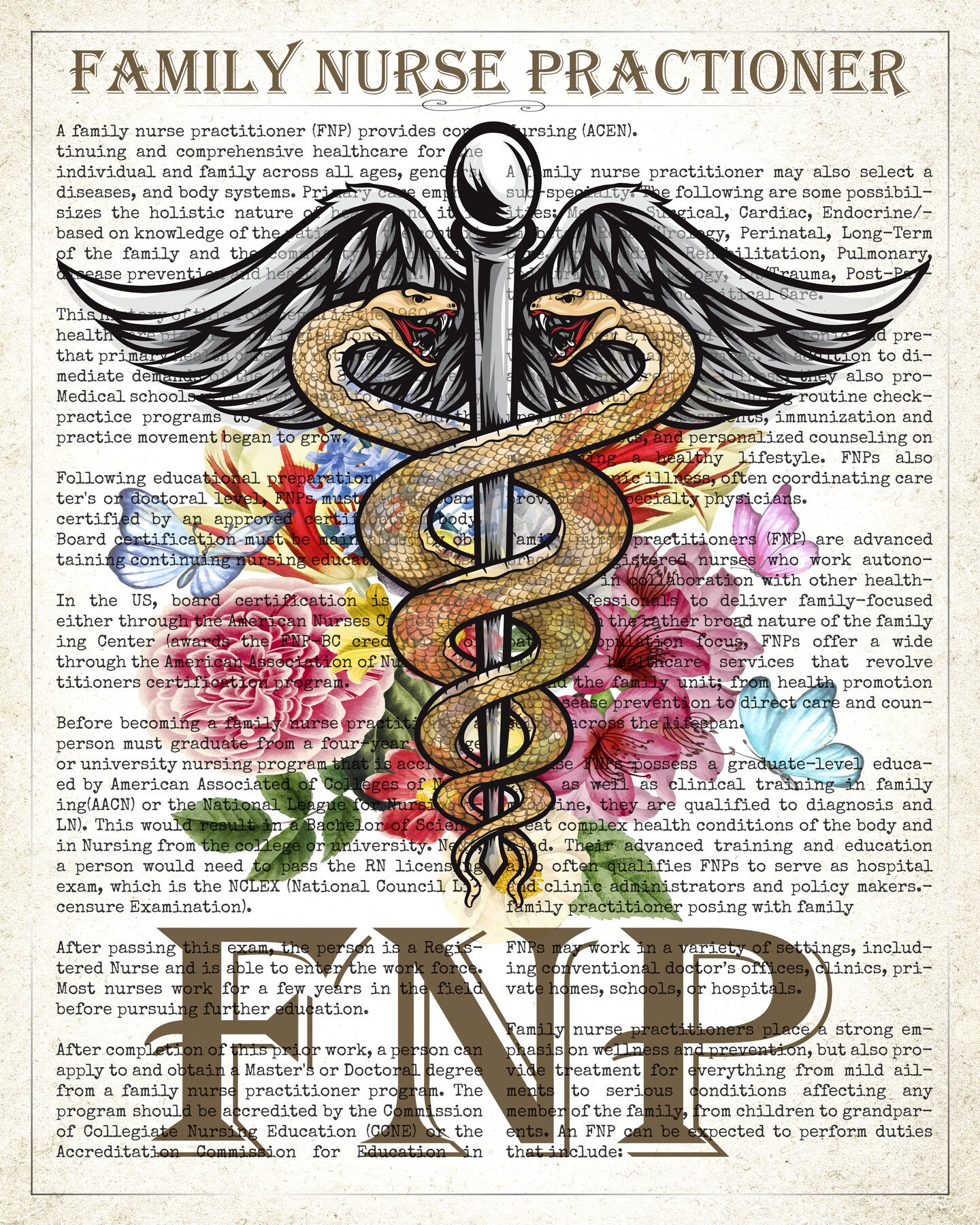 Medical School, FNP Office Decor, Wall Art, Family Nurse Practitioner ...