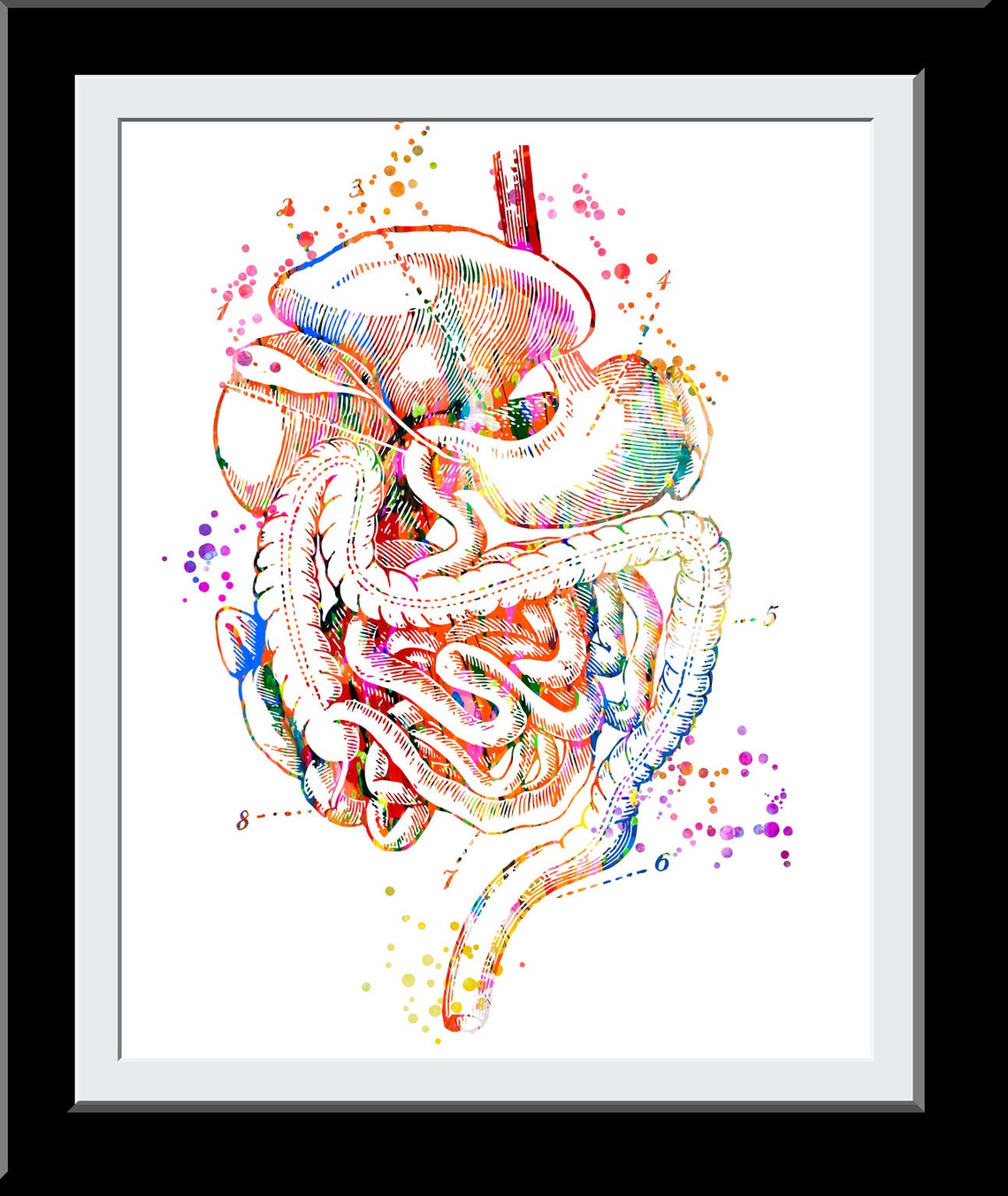 Body Art Prints Skeleton Art, Intestine Art Print, Medical Art Work ...