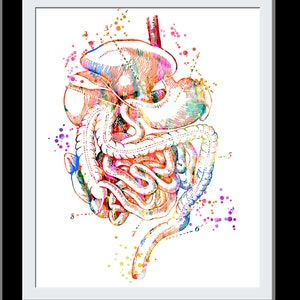 Body Art Prints Skeleton Art, Intestine Art Print, Medical Art Work ...