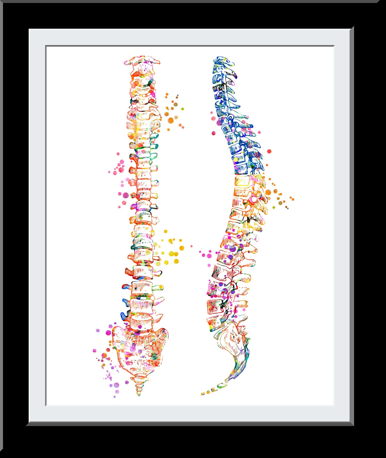Spine Art Print Spinal Poster Medical Art Work Office Decor | Etsy