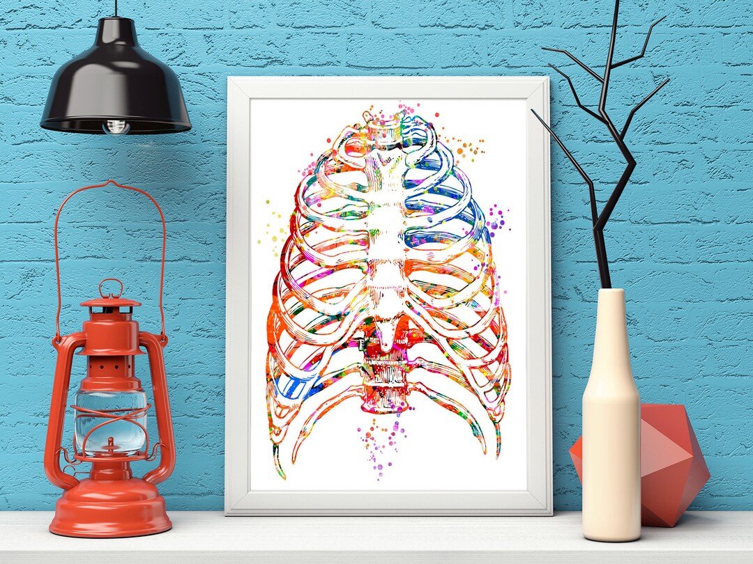 Ribs Body Medical Art, Ribcage Art Print, Medical Art Work, Office ...