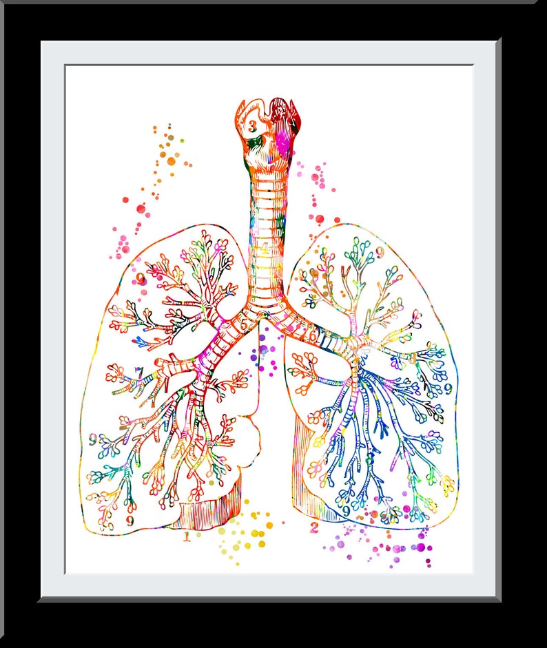 Pulmonary Art Lungs Art Print Body Anatomy Art, Medical Art Work ...