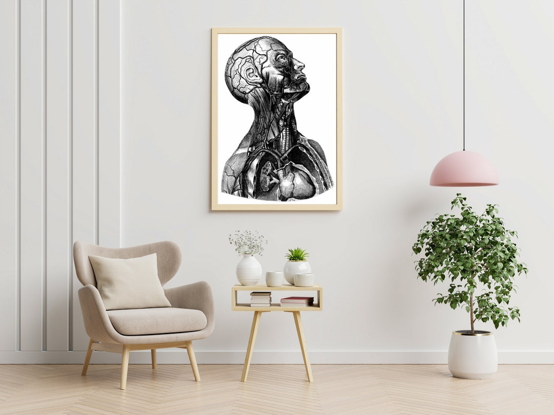 Human Body Anatomy Print, Human Body Flower Art, Doctor Office Decor ...