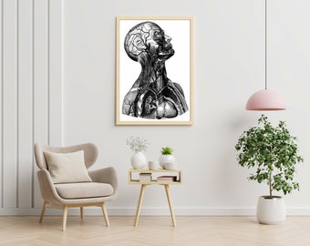 Human Body Anatomy Print, Human Body Flower Art, Doctor Office & Clinic ...