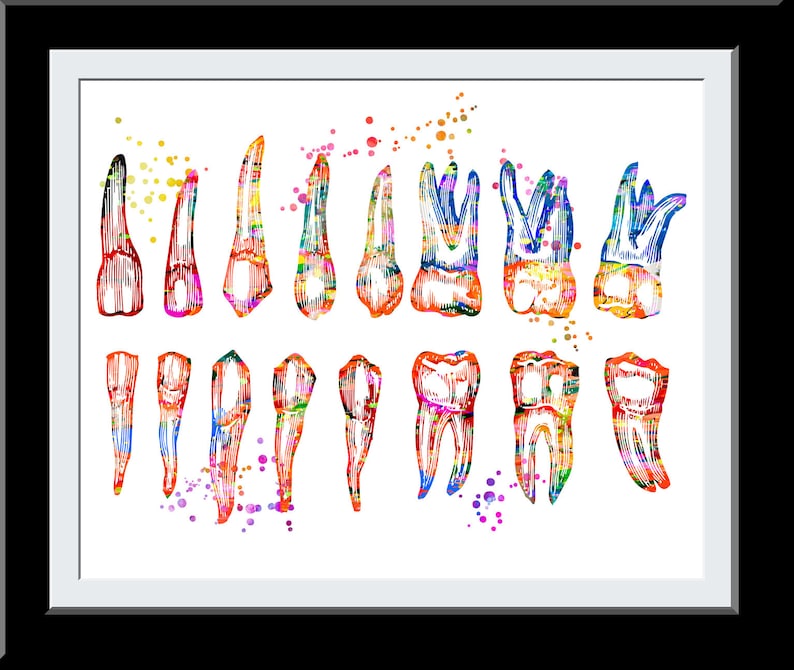 Teeth Art Print Dental Art Tooth Art Mouth Medical Art Work - Etsy