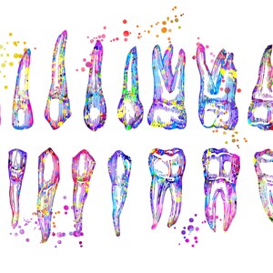 Teeth Art Print Dental Art Tooth Art Mouth Medical Art Work, Office ...