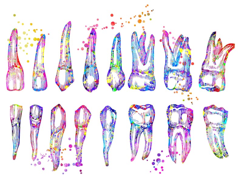 Teeth Art Print Dental Art Tooth Art Mouth Medical Art Work | Etsy