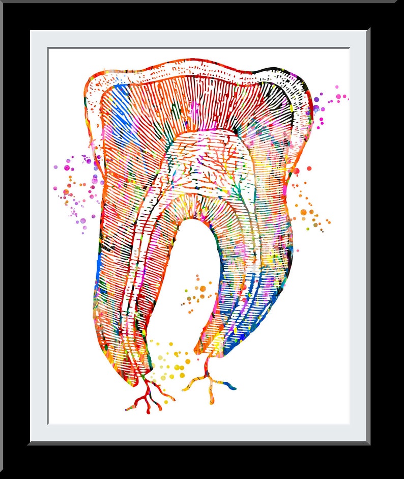 Teeth Art Print Dental Art Tooth Art Mouth Medical Art Work - Etsy