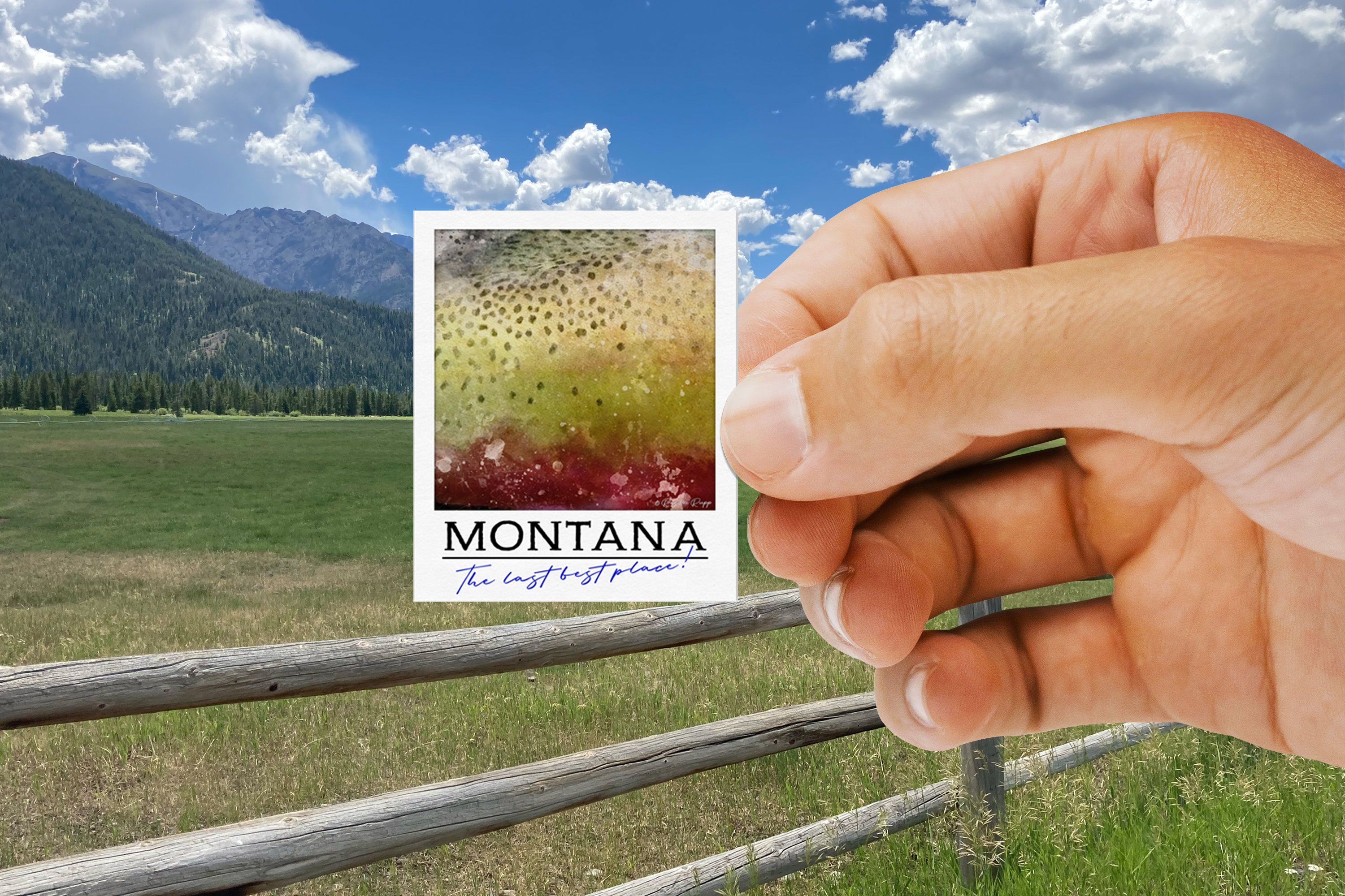 MONTANA STICKERS SYMBOLS of Montana Weatherproof Vinyl Decal Travel ...