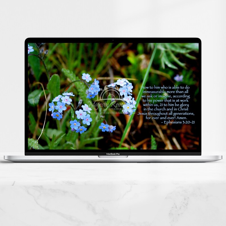 Computer Wallpaper DIGITAL SCREENSAVER Inspirational Quote Wildflower ...