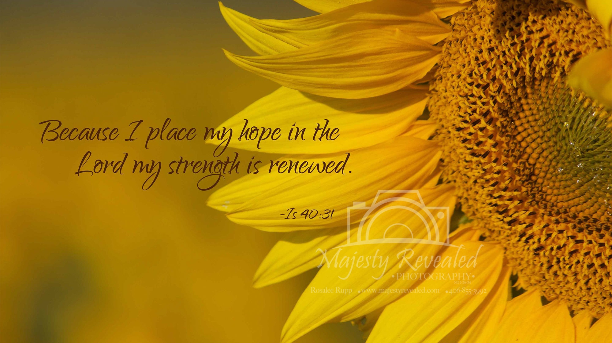 Computer Wallpaper DIGITAL SCREENSAVER Inspirational Quote Screensaver ...