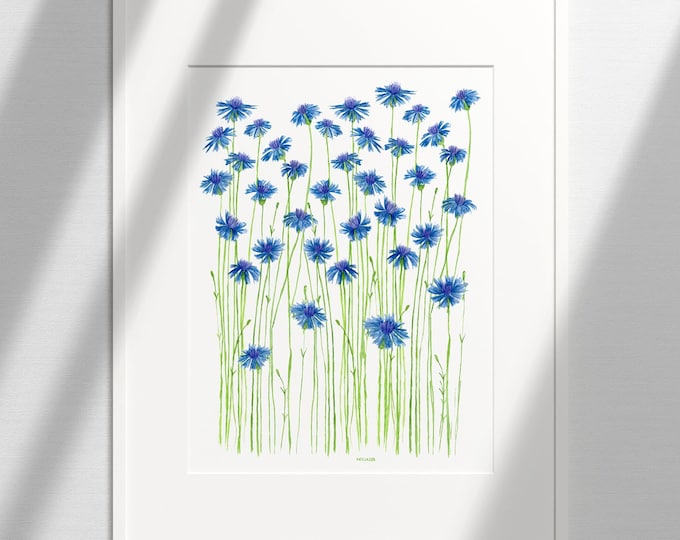 Blue Cornflowers Art, Botanical Art Print, Watercolor Botanical Art ...