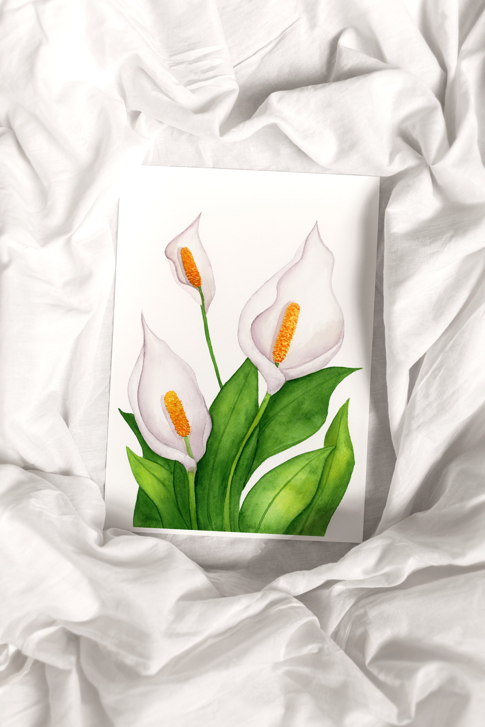 8x10 Calla Lilies Print, Watercolor Botanical Art, White Flower ...