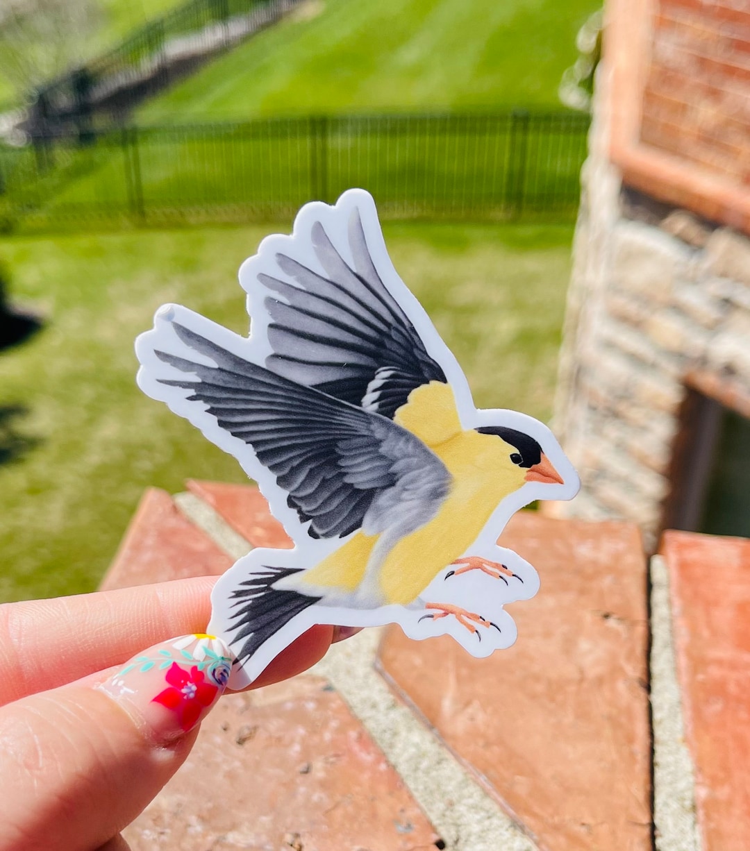 Yellow Finch Hand Drawn Waterproof Water Bottle Sticker, Laptop Decal ...