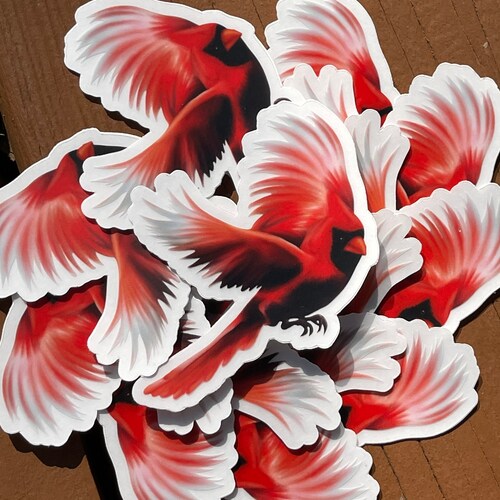 Cardinal Sticker Hand-drawn Bird Sticker Waterproof Sticker - Etsy