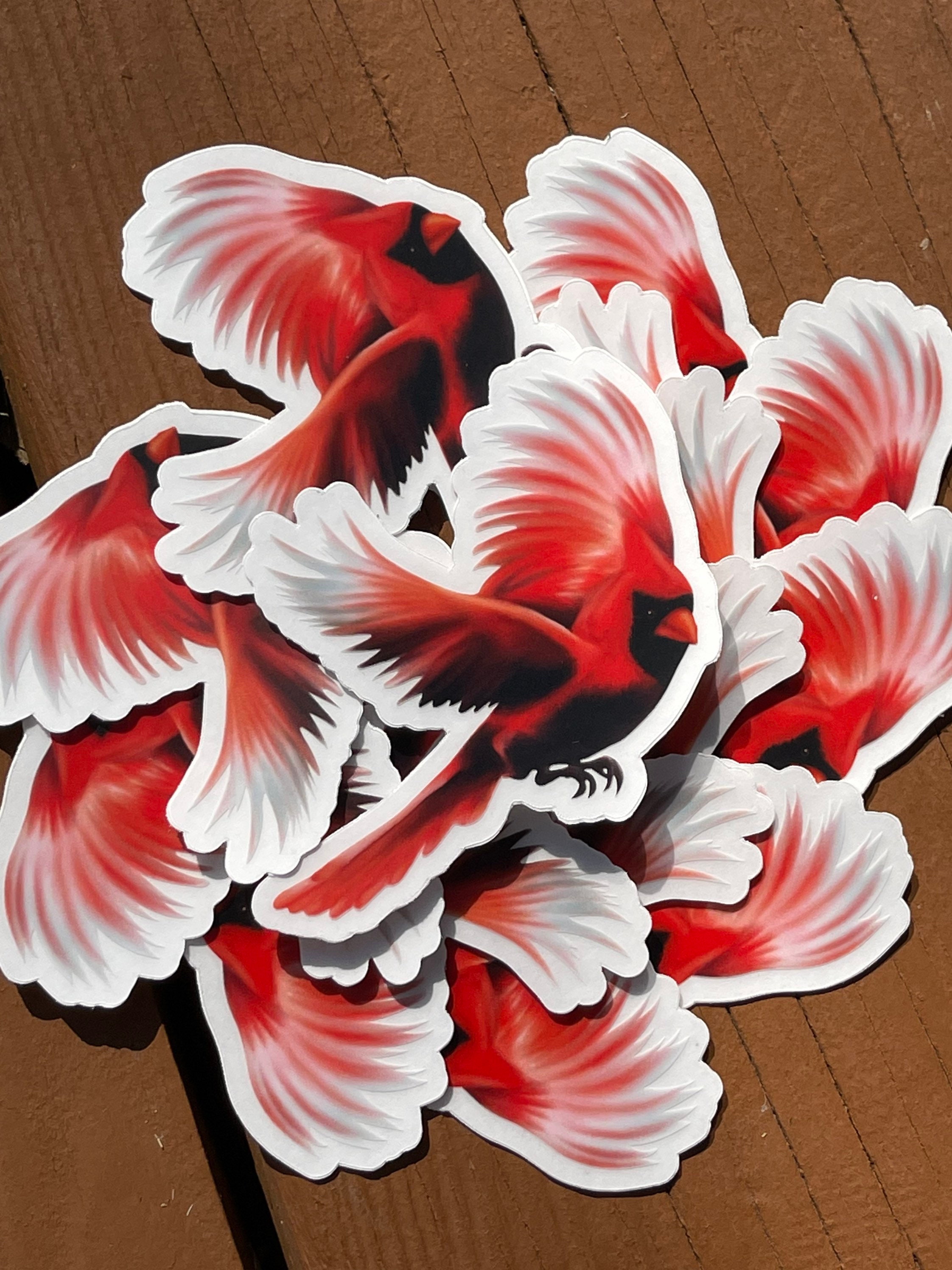Cardinal Sticker Hand-drawn Bird Sticker Waterproof Sticker - Etsy
