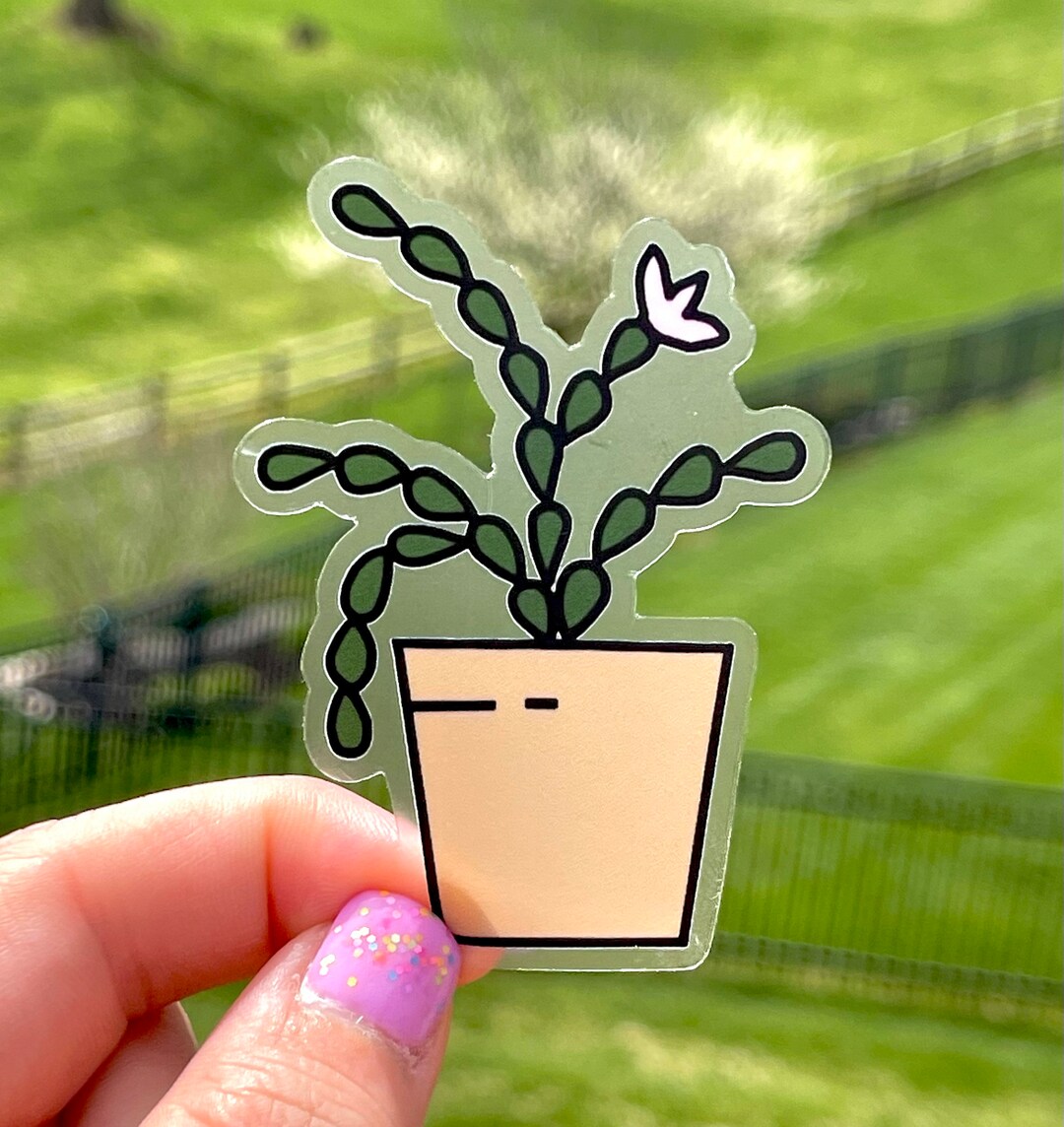 Succulent With Pink Flowers Potted Plant Sticker, Bohemian Hand Drawn ...