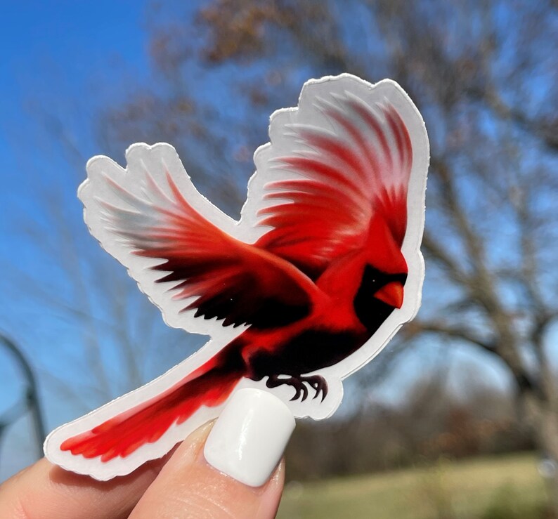 Cardinal Sticker Hand-drawn Bird Sticker Waterproof Sticker - Etsy