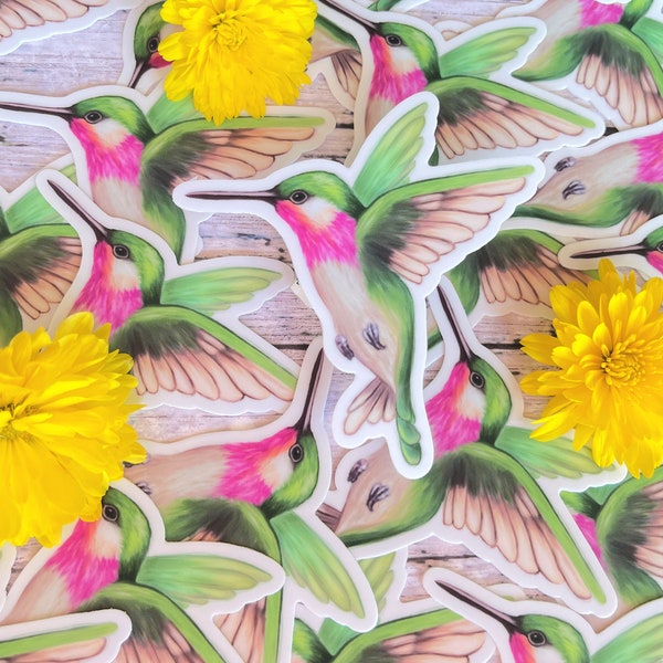 Hummingbird Sticker - Etsy
