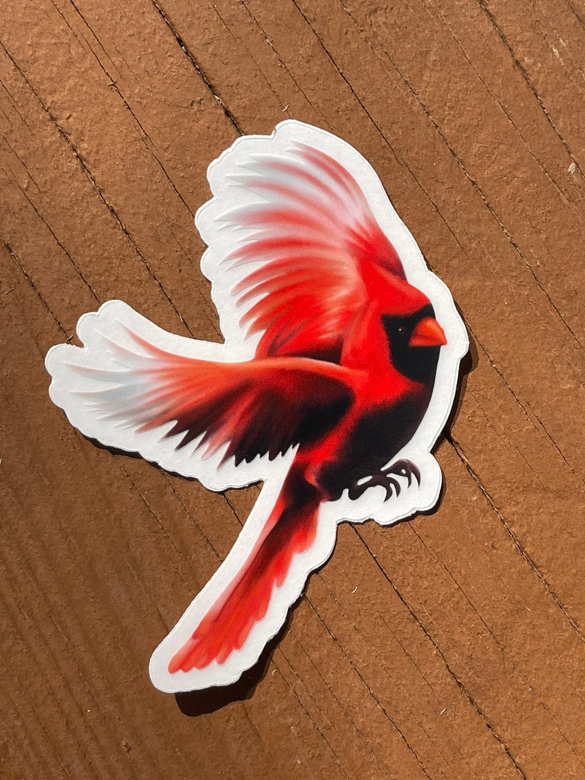 Cardinal Sticker Hand-drawn Bird Sticker Waterproof Sticker - Etsy
