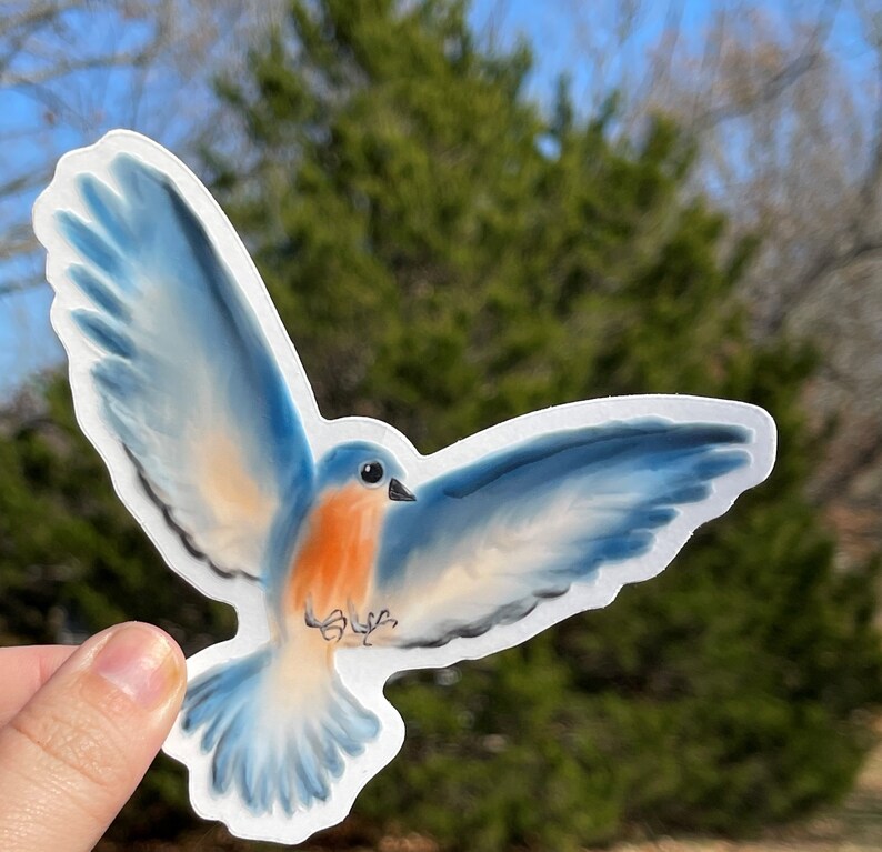 Bluebird Sticker Large Hand Drawn Art Decal Clear Bird - Etsy