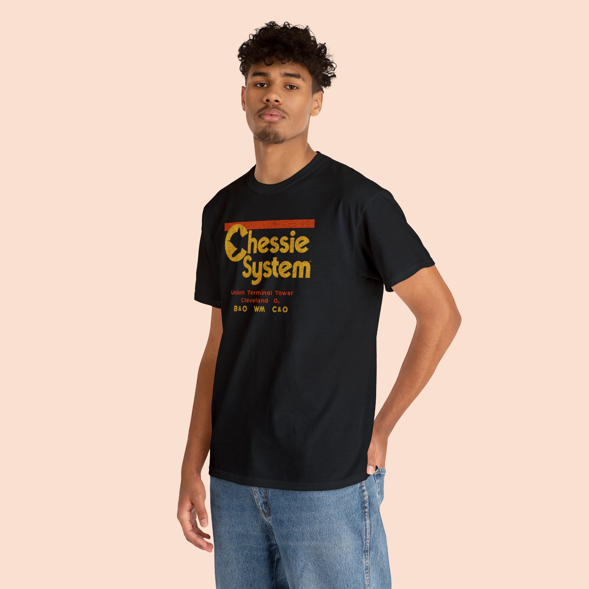 Chessie System Railroad T-shirt | CSRR Inverted Chessie Cat Logo Colors ...