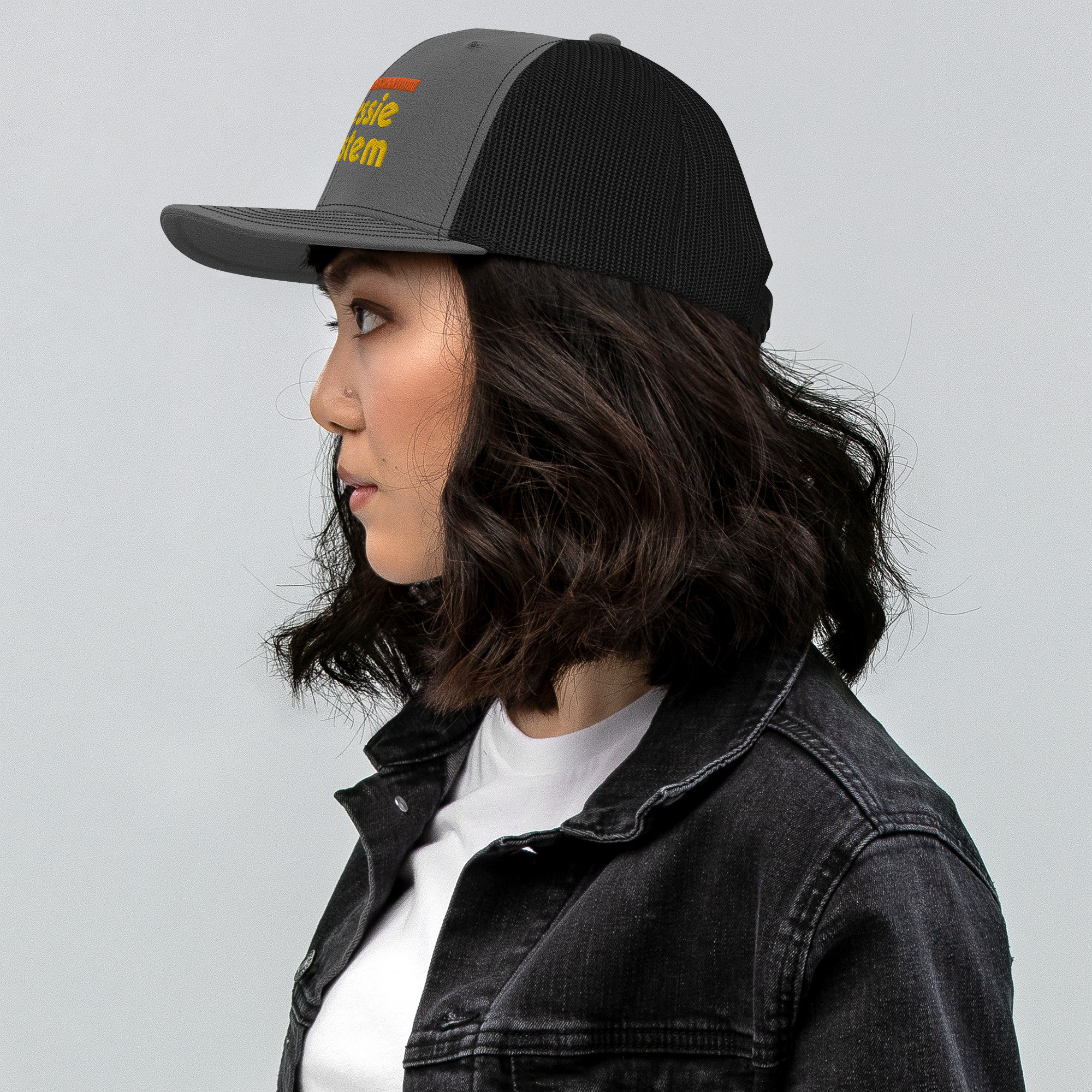 Chessie System Railroad Hat | Embroidered CSRR Vintage Train Hats ...