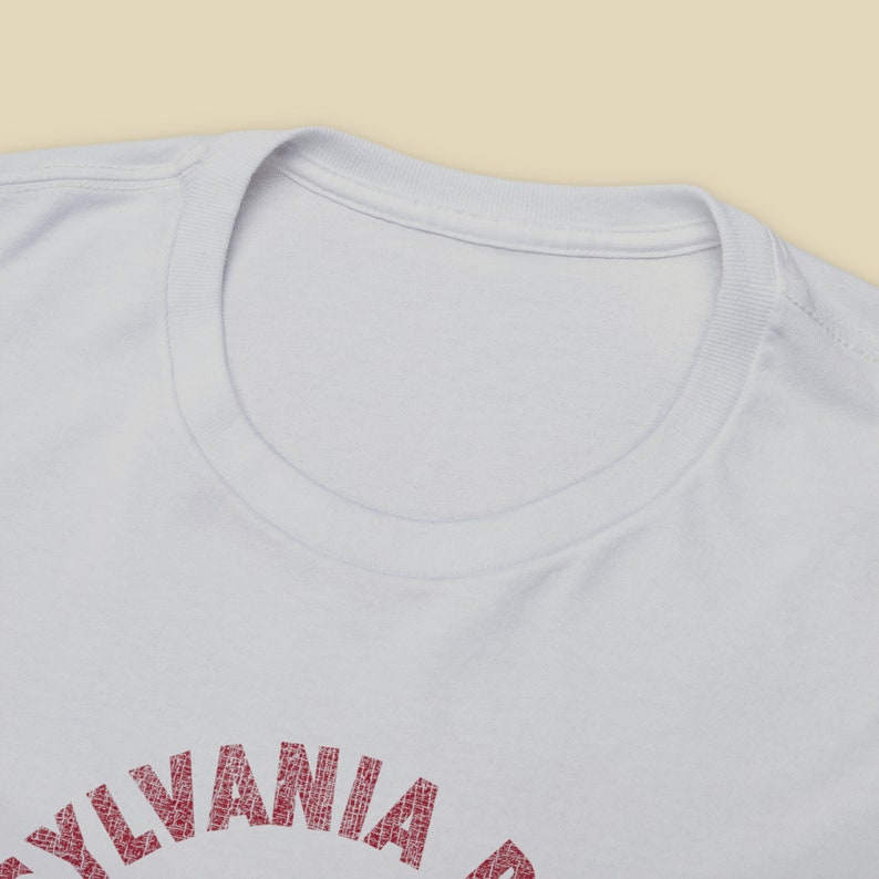 Pennsylvania Railroad T-shirt | Vintage PRR Tee, Railfan Apparel ...