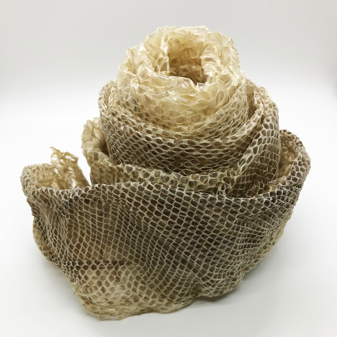 Snake Skin Shed Boa Constrictor - Etsy